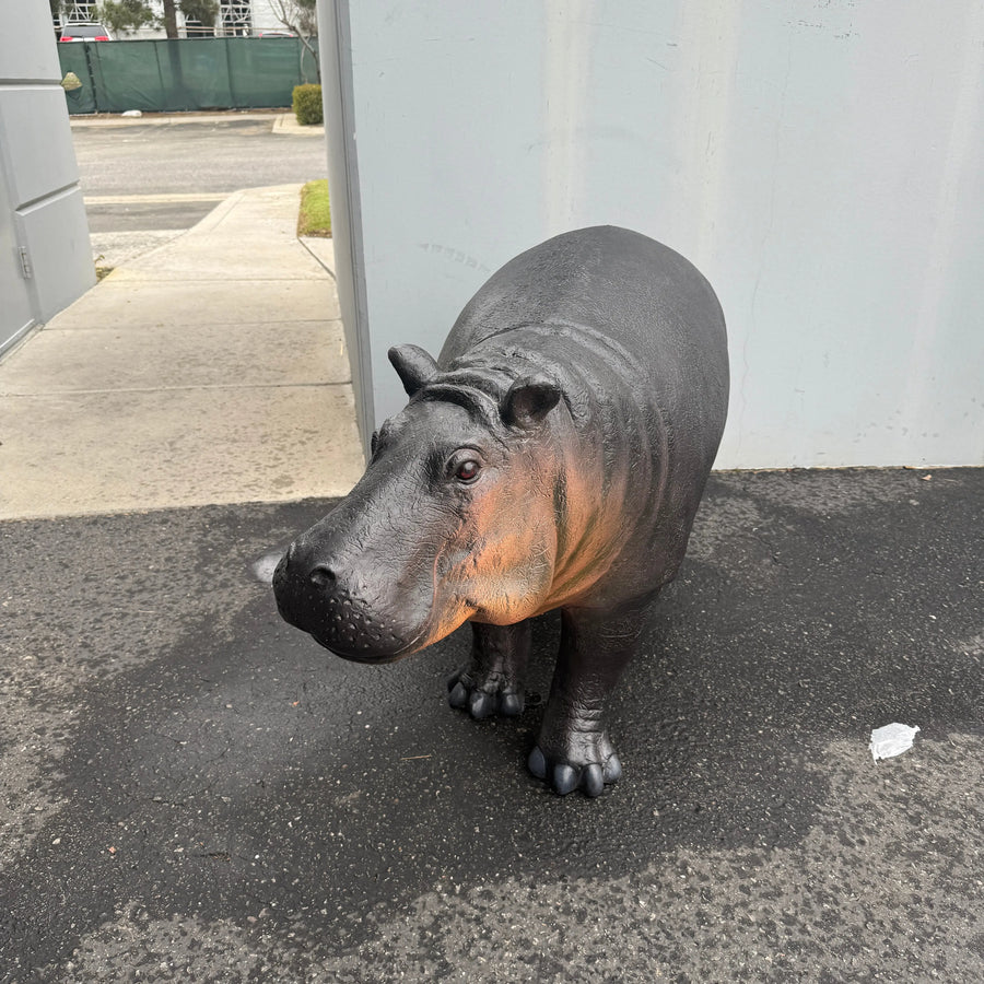 Baby Hippo Statue Hippopotamus Life Size Animal Statue| LM Treasures