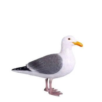 Seagull Life Size Bird Animal Nautical Beach Statue – LM Treasures