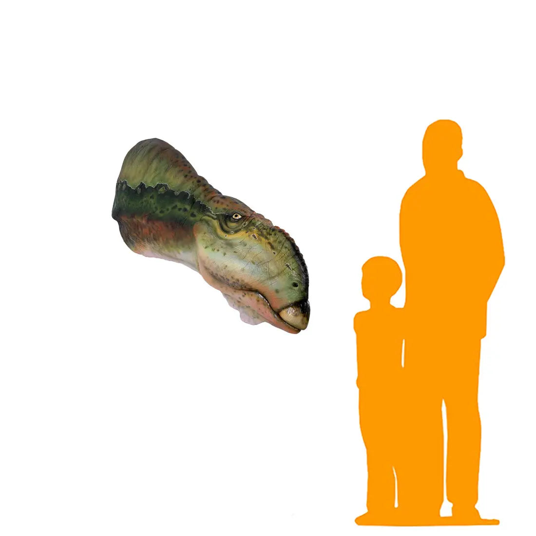 Muttaburrasaurus Dinosaur Head Jurassic Life Size Statue| LM Treasures