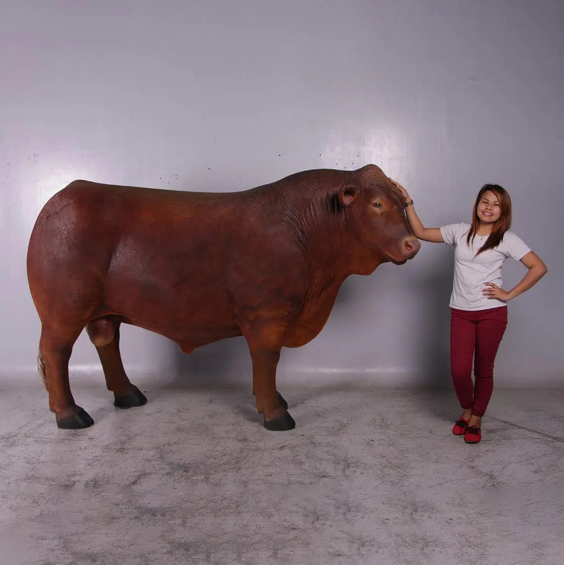 Angus Bull Life Size Farm Animal Cow Steer Statue| LM Treasures