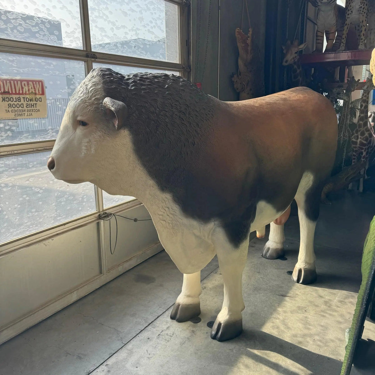 Hereford Bull Life Size Statue | LM Treasures
