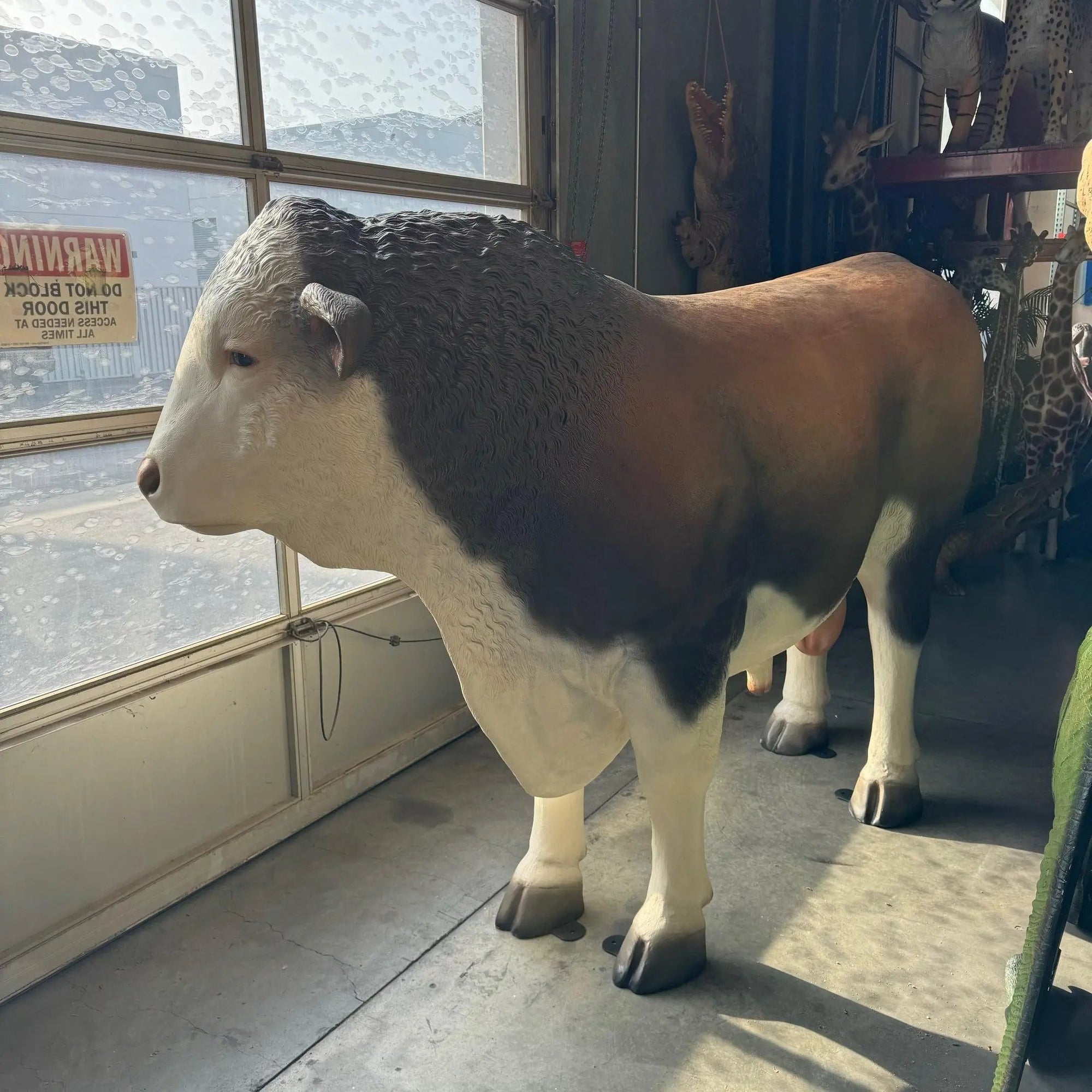 Hereford Bull Life Size Statue | LM Treasures