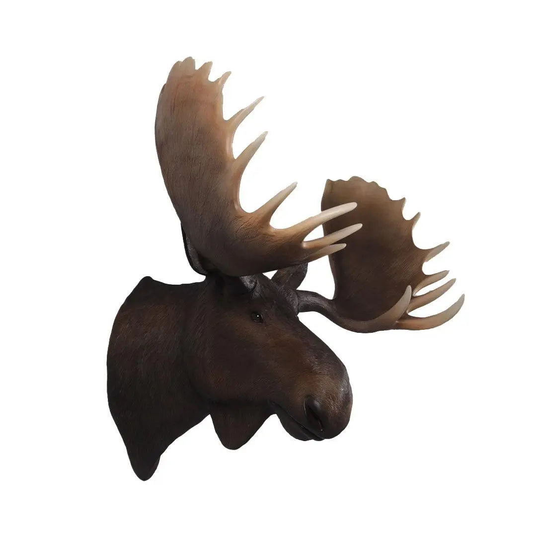 Moose Head Life Size Statue| LM Treasures