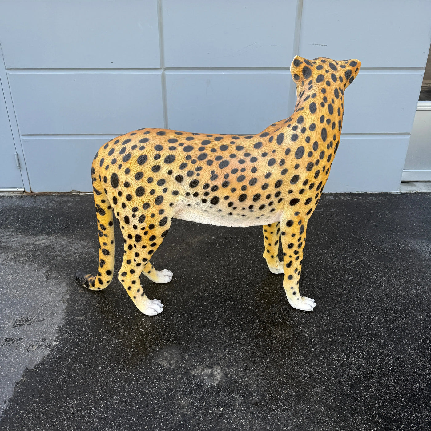 Cheetah Life Size Safari Animal Big Wild Cat Statue – LM Treasures