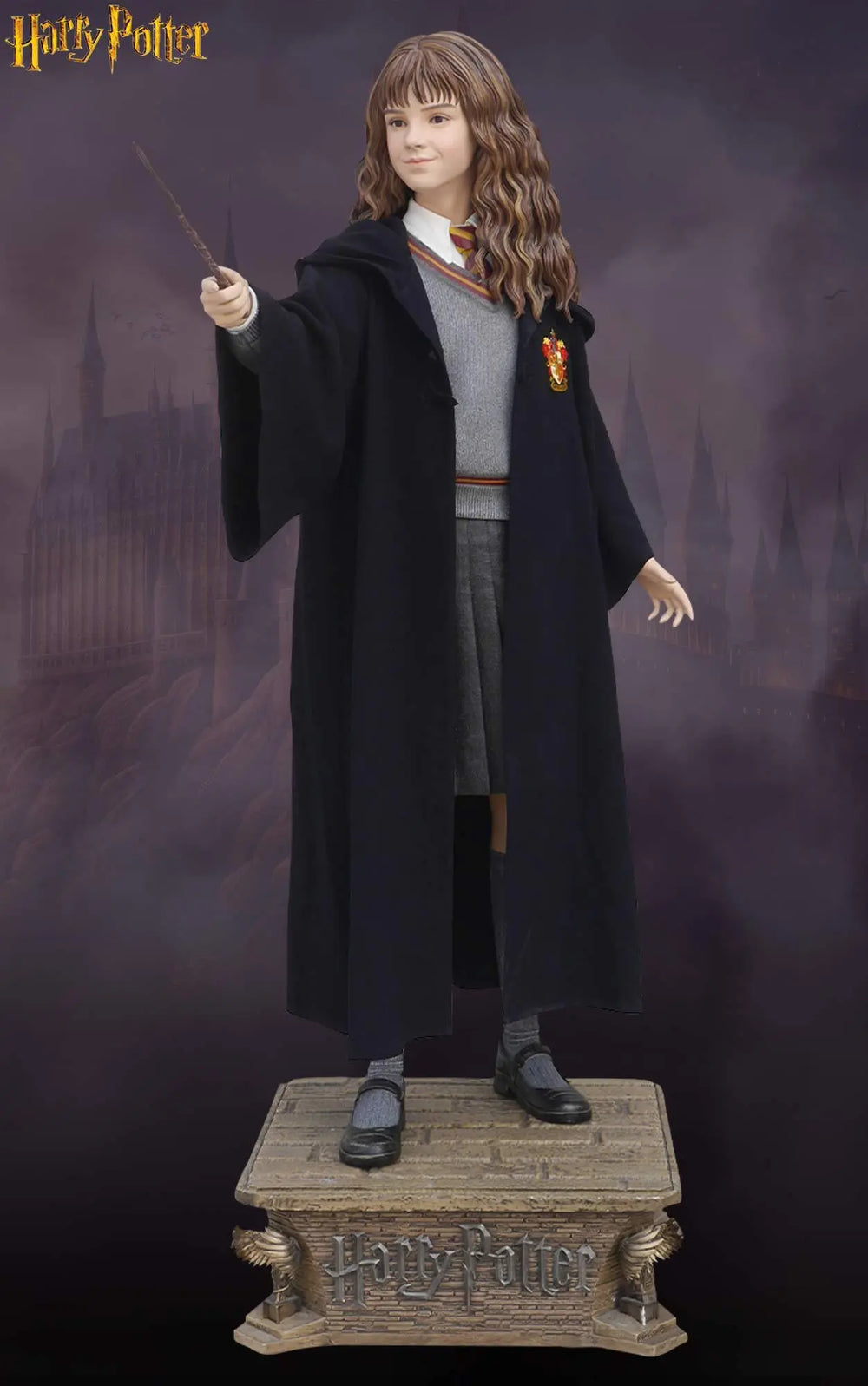 Harry Potter The Chamber of Secrets Hermione Granger Emma Watson Life ...