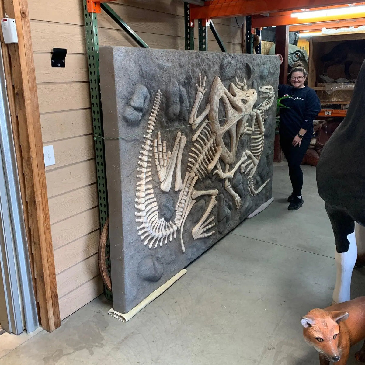 Dinosaur Fossil Dig Prehistoric Raptor Life Size Statue| LM Treasures