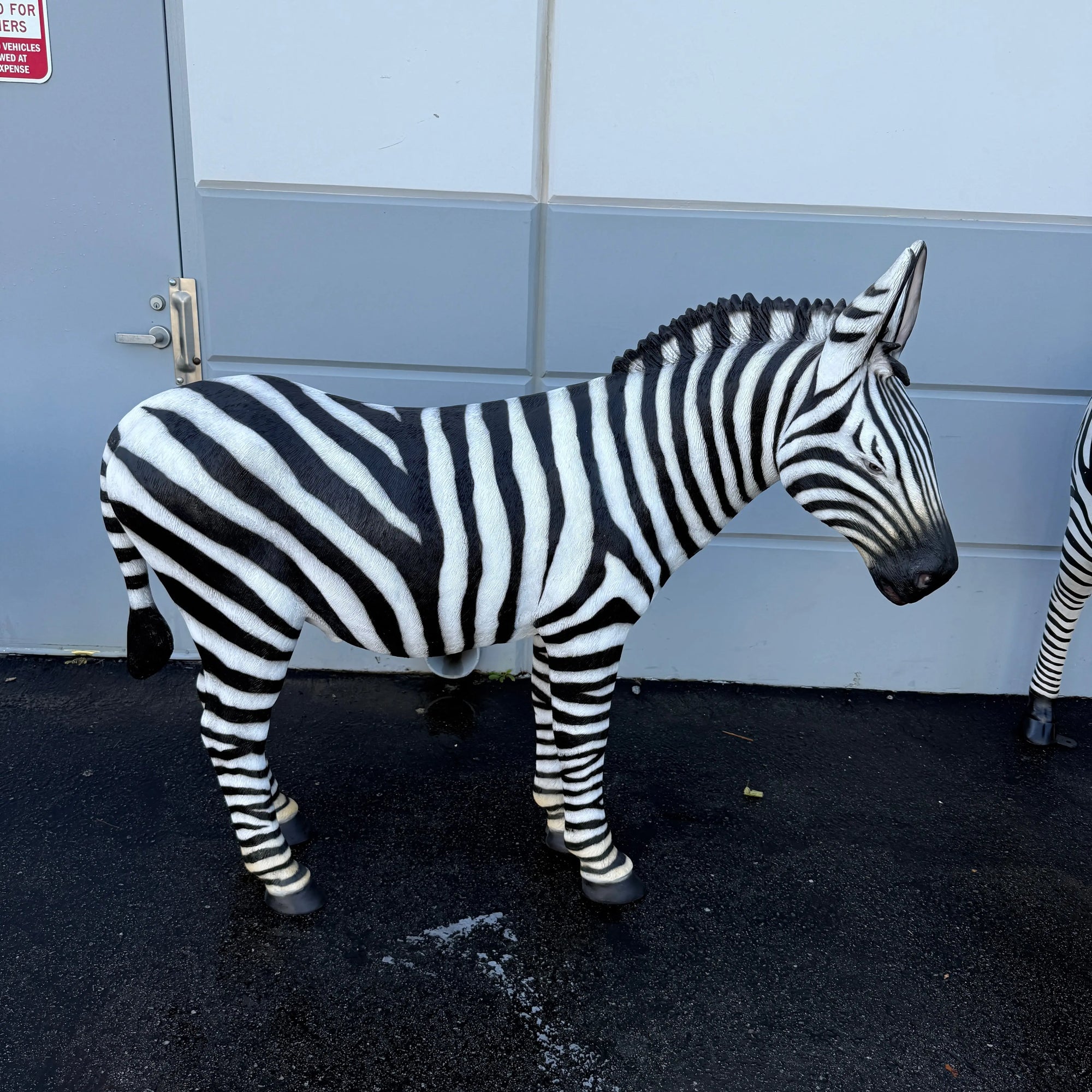 Zebra Life Size African Safari Animal Statue Decor| LM Treasures