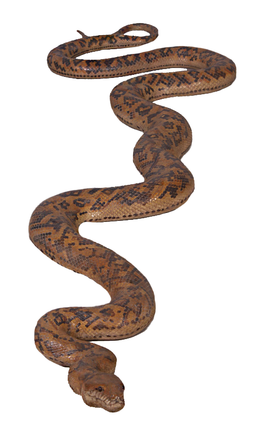 Python Snake Life Size Statue | LM Treasures
