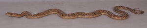 Python Snake Life Size Statue | LM Treasures