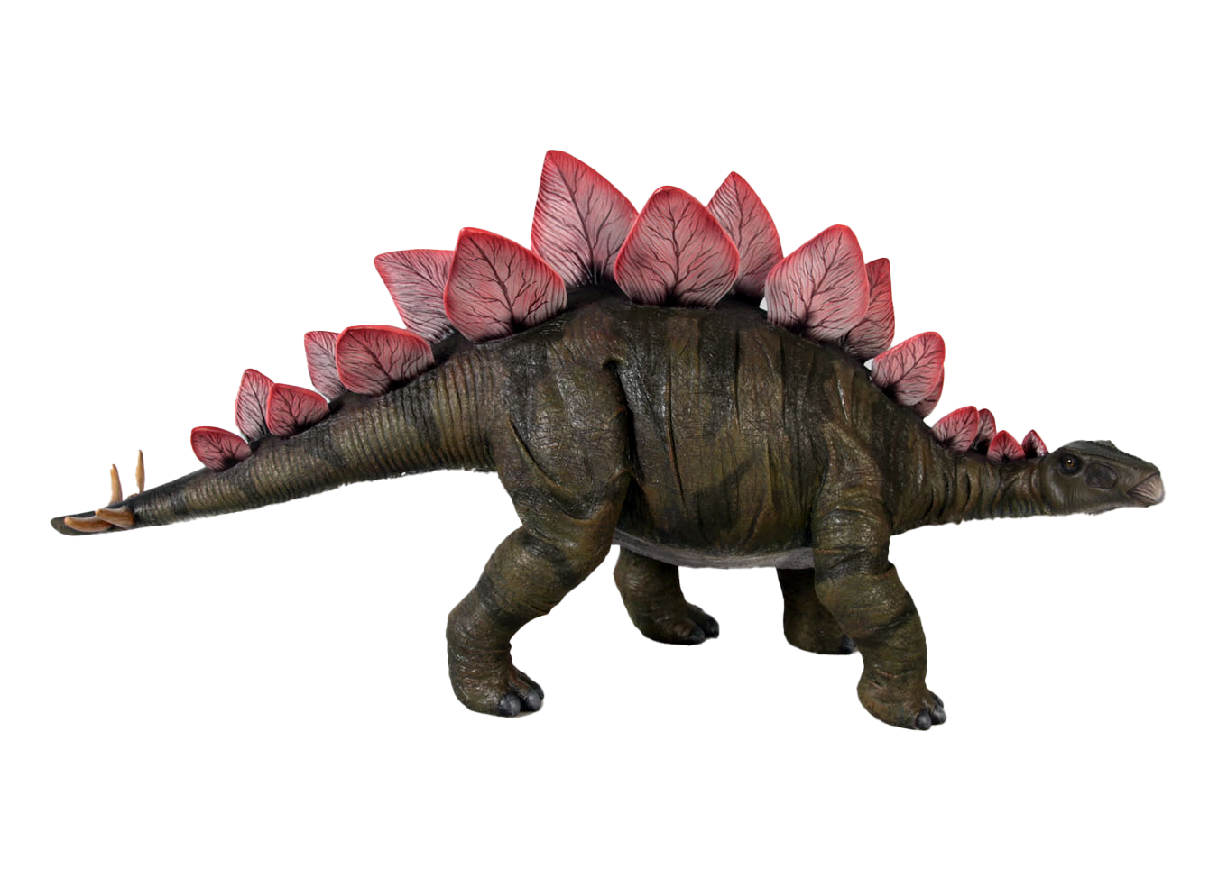 Dinosaurs Stegosaurus Baby