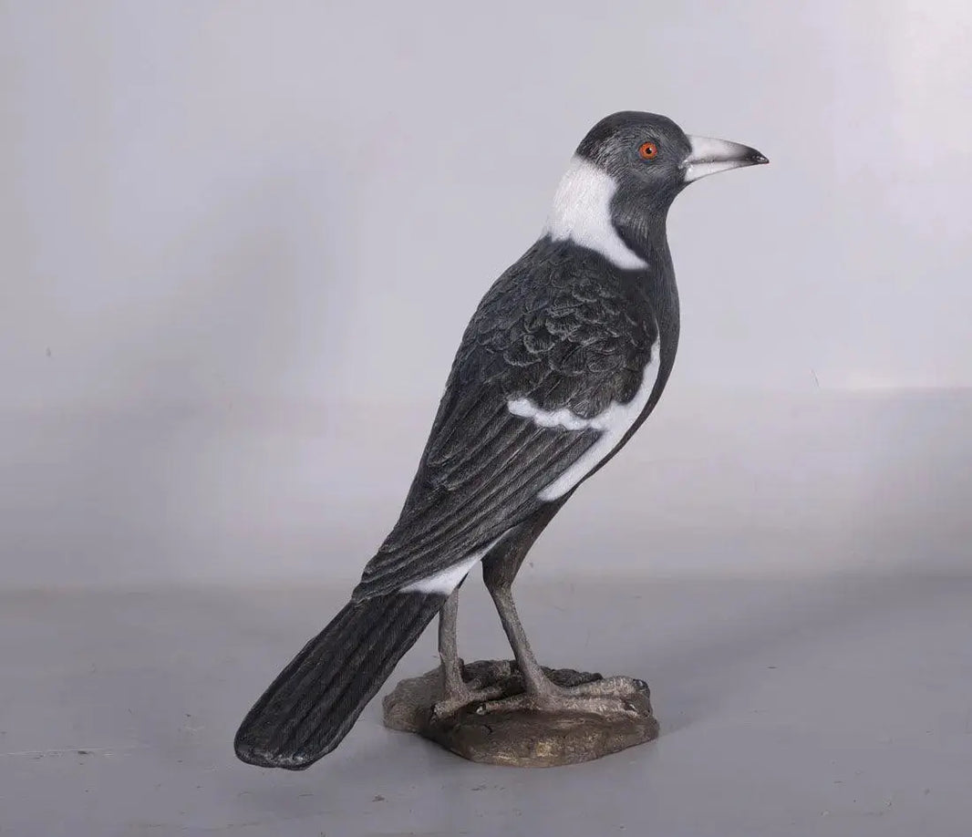 Crow Magpie Bird Life Size Statue Animal Prop Decor – LM Treasures