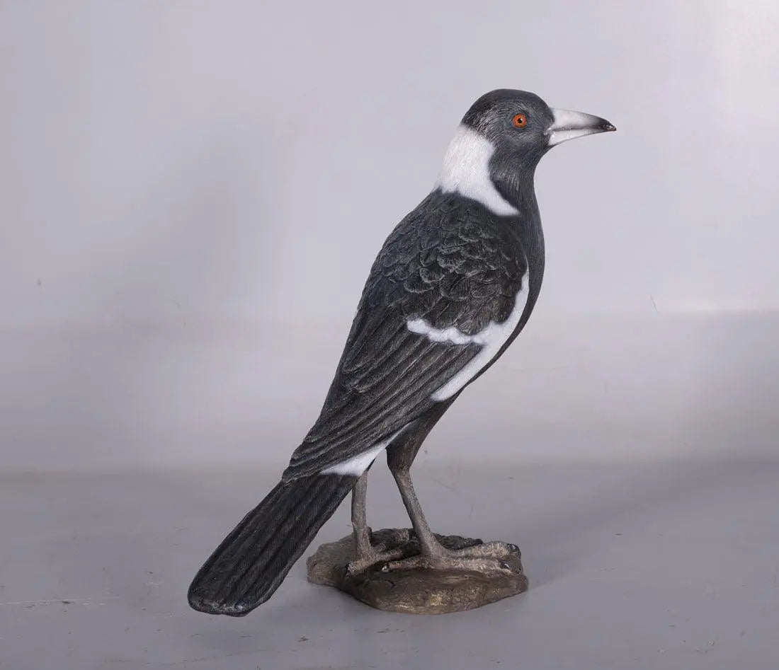 Magpie Crow Life Size Statue | LM Treasures