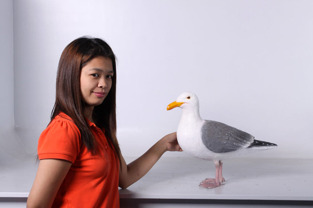 Seagull Life Size Statue | LM Treasures