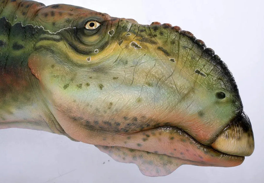 Muttaburrasaurus Dinosaur Head Jurassic Life Size Statue| LM Treasures